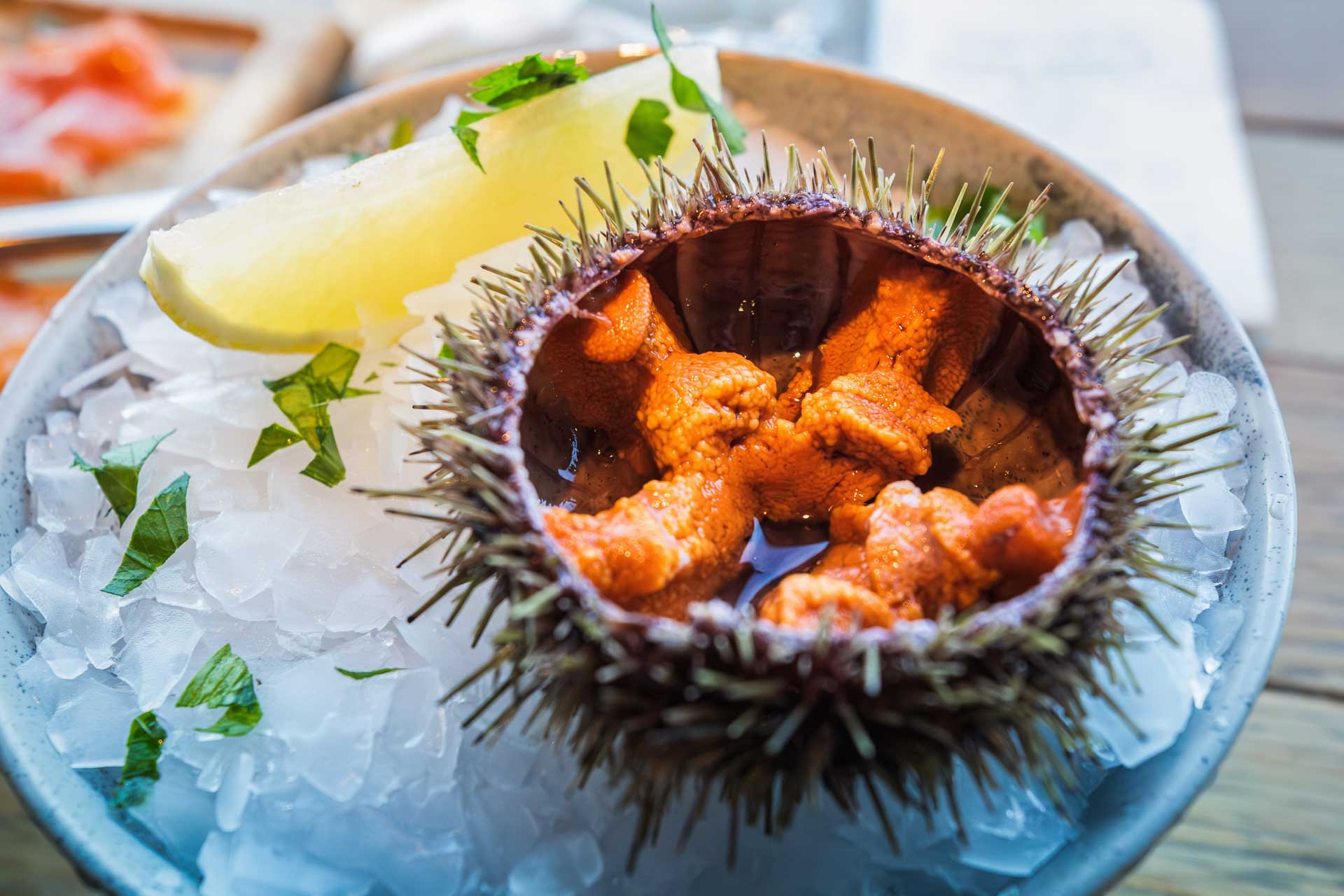 Culinary Adventures In Tromsø